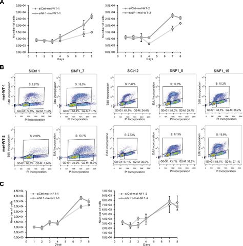 In Vitro Modeling Of Hyperpigmentation Associated To Neurofibromatosis Type 1 Using Melanocytes