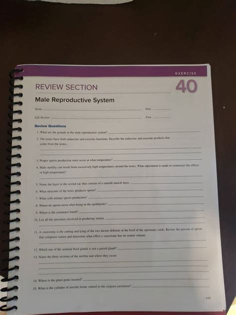 Solved Exercise Review Section 40 Male Reproductive System Nam Dan
