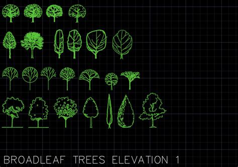 Trees Elevations 1 Autocad Blocks Construction Files