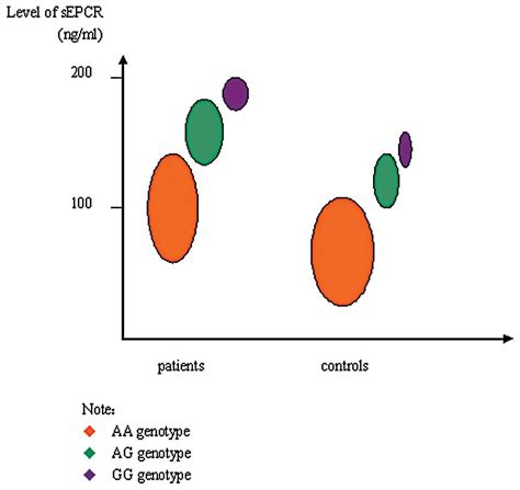 Endothelial Cell Protein C Receptor Gene 6936ag Polymorphism Is