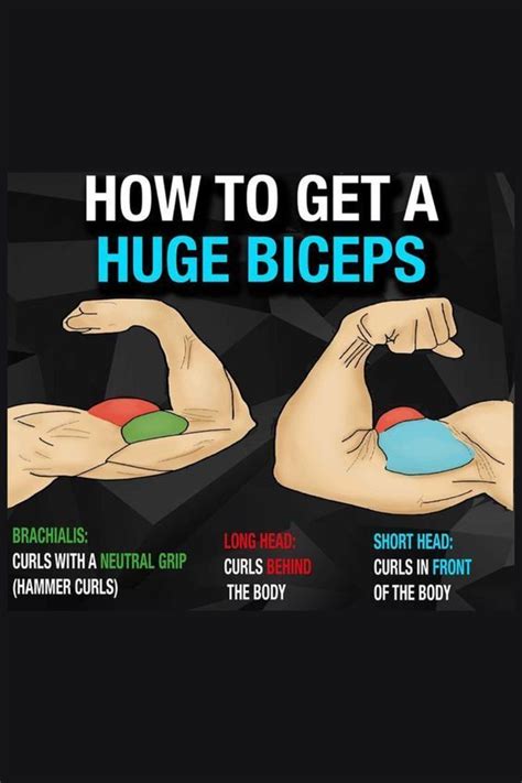 How To Get Huge Biceps Workout Training Programs Bodybuilding Workout Plan Big Biceps Workout