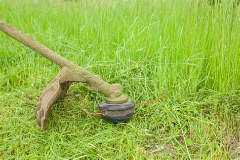 가솔린 잔디 다듬기 도구 녹색 잔디를 깎고 채 초 잔디와 아직 깍 잔디 사이의 차이점 계절에 대한 스톡 사진 및 기타 이미지 계절 공원 깔끔한 Istock