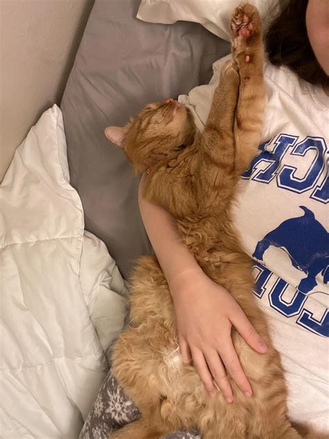 Sibling Question Scrolller