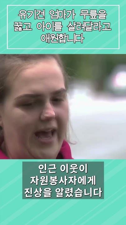 유기견 엄마가 무릎을 꿇고 아이를 살려달라고 애원합니다 Youtube