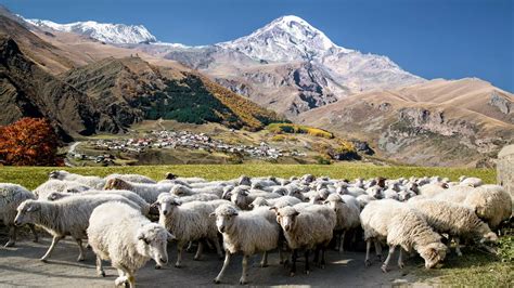 Exclusively Georgian Georgia Travel