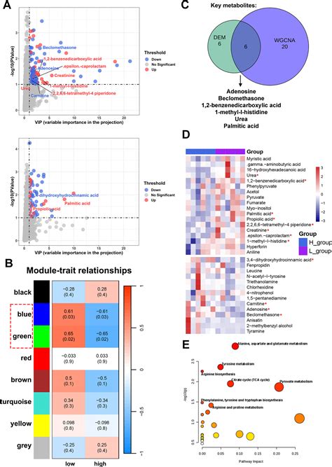 Proteomics And Metabolic Characteristics Of Boar Seminal Plasma