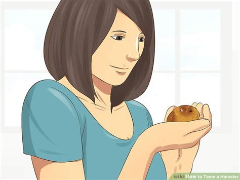 How To Tame A Hamster 14 Steps With Pictures Wikihow