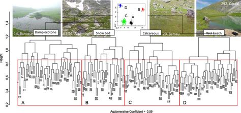 Dendrogram Showing Lake Ecosystem Types Clusters Based On Similarity