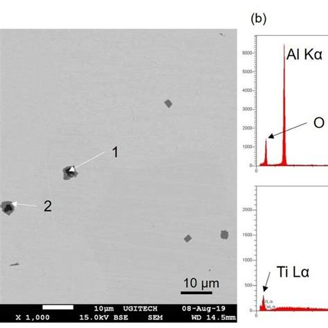 Backscattered Electron Bse Mode Sem Image On Ti Microstructure