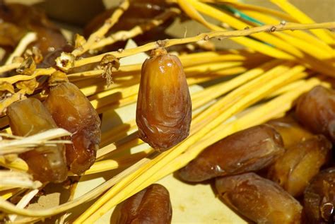 5 Buah Buahan Yang Populer Pada Saat Bulan Ramadhan