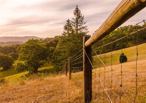Pros And Cons To Weld Wire Fencing