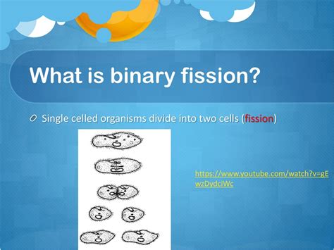 Sexual Vs Asexual Reproduction Ppt Download