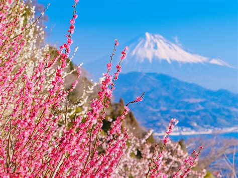 年末年始（冬休み・お正月）おすすめ国内旅行・ツアー 2025 2026特集│近畿日本ツーリスト