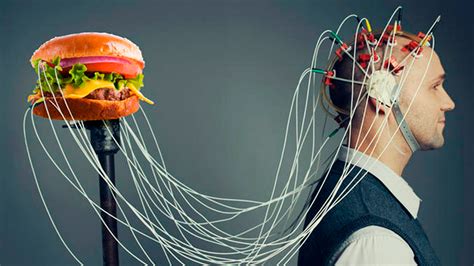 Identifican El Interruptor Para Combatir La Obesidad A Nivel Celular