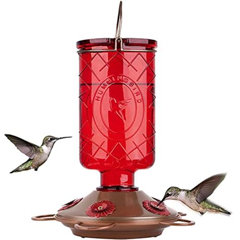 50 Best Hummingbird Feeder Bee Guards 2022 After 246 Hours Of