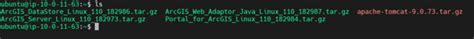 Effortlessly Deploy ArcGIS Enterprise On Ubuntu A Complete Walkthrough GEO Jobe