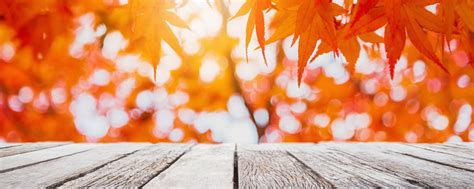 빈 나무 테이블 상단과 공원 배너 배경에 흐린 가을 나무와 빨간 잎 디스플레이 또는 몽타주에 사용할 수 있습니다 제품을 몽타주 0명에 대한 스톡 사진 및 기타 이미지
