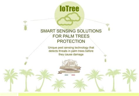 Io Tree Brief Presentation En Ppt