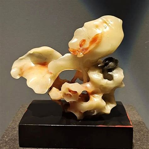 文艺两新｜新征程：福建“文艺两新”人才艺术作品展寿山中国民协芙蓉石