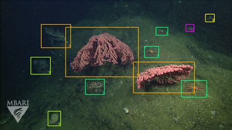 Big Ocean Big Data Report Open Ocean