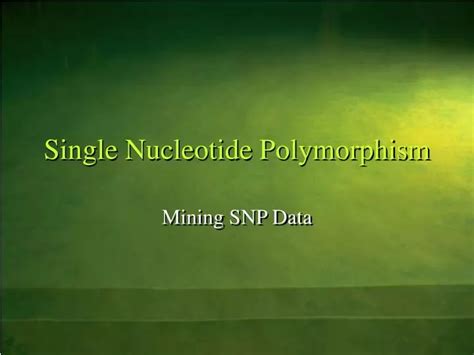 Ppt Single Nucleotide Polymorphism Powerpoint Presentation Free