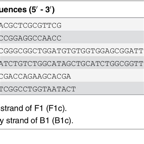 Nucleotide Sequences Of Designed Lamp Primers F3 And B3 Outer Download Table