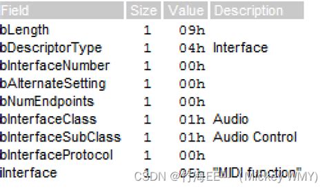 Usb Descriptor Csdn博客