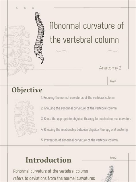 Abnormal Curvature Of The Vertebral Column 20241211085049٠٠٠٠ Pdf Vertebral Column Vertebra