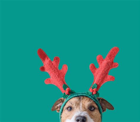 Ghfc Closing For The Winter Break Reopening