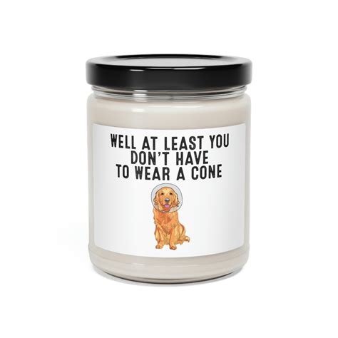Well At Least You Dont Have To Wear A Cone Golden Triever Etsy