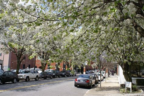God Is A Real Bastard For Inventing Those Trees That Smell Like Jizz Barstool Sports