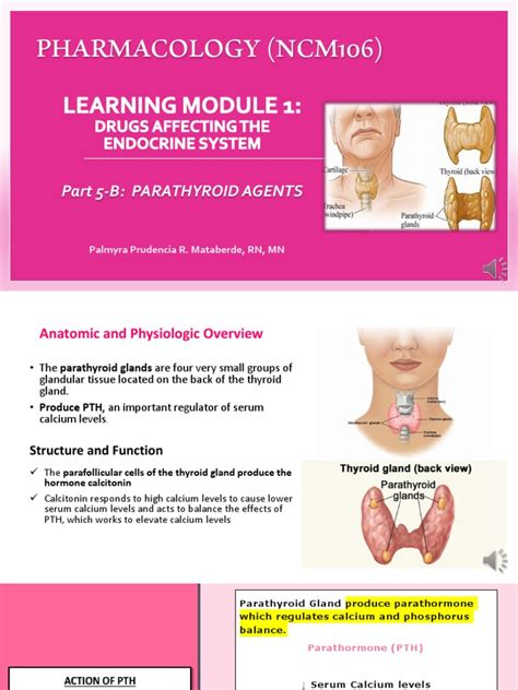 Parathyroid Agents And Hormone Regulation Pdf Parathyroid Gland