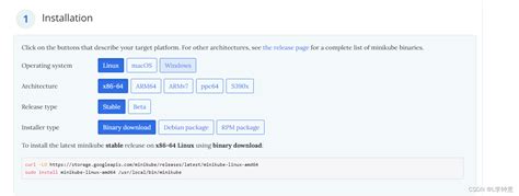 【k8s】搭建小巧完备的kubernetes环境（minikube） Csdn博客