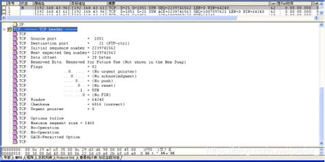 2020 12 19利用sniffer工具分析ip头的结构 Csdn博客
