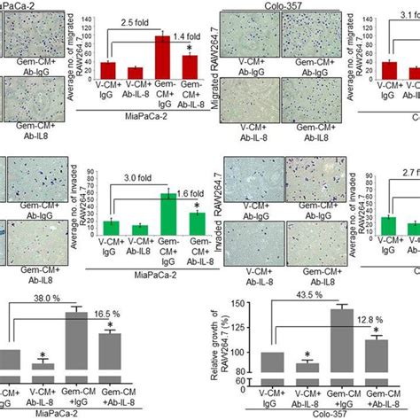 Mouse Primer Sequences Used For Quantitative Rt Pcr Download Table