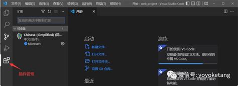 VSCode 使用教程 设置成中文 腾讯云开发者社区 腾讯云