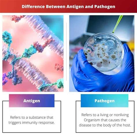 Antigen Vs Pathogen Difference And Comparison