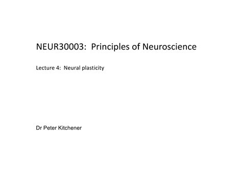 Principles Of Neuroscience Lecture 4 Notes Neur30003 Principles Of Neuroscience Lecture 4