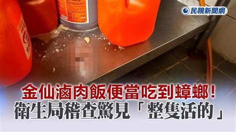 快新聞／金仙滷肉飯便當吃到蟑螂！衛生局稽查驚見「整隻活的」在地上爬－民視新聞 Youtube