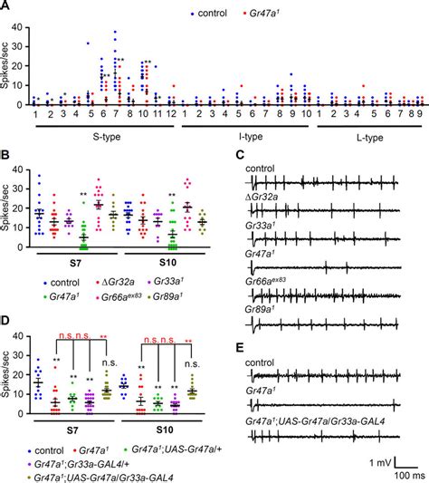 Tip Recording Analyses A Tip Recording Analyses Of S I And L Type Download Scientific
