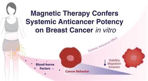 Cells Mdpi On Linkedin Cellsmdpi Cellbiology