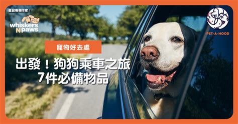 狗狗乘車之旅：7件必備物品讓車程樂趣兼安全 Pet A Hood 寵物資訊平台