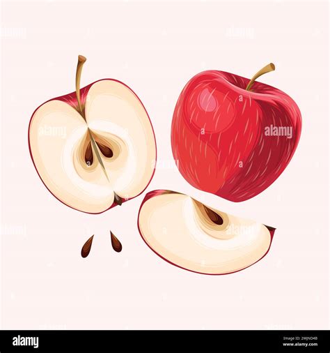 Set Of Apples Stock Vector Image And Art Alamy
