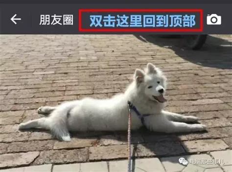 微信五大冷知識！看完才發現這麼多年的微信白玩了！ 每日頭條