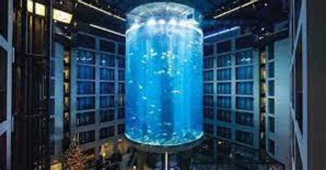 У столиці Німеччини розірвався акваріум із мільйоном літрів води відео