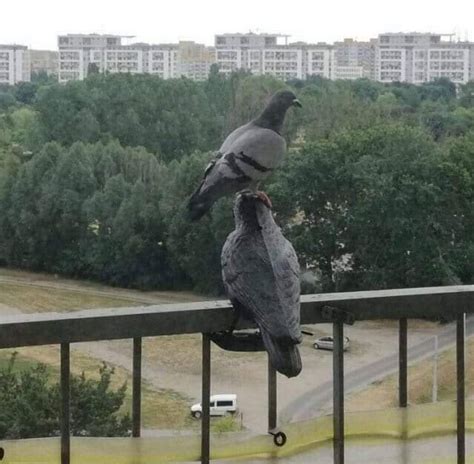 Recursive Support Rrecursivestructures