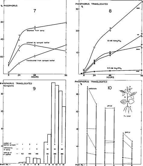 Figure 7 From Factors Affecting Absorption And Translocation Of Foliar