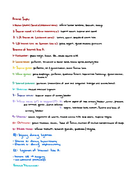 Pelvis High Yield Anatomy Review Arterialsupply Medianmiddlesacrala