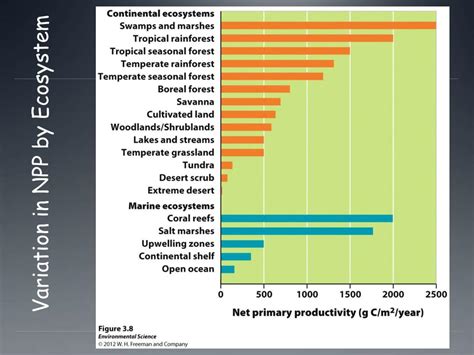 Ppt Ecosystem Productivity Powerpoint Presentation Free Download