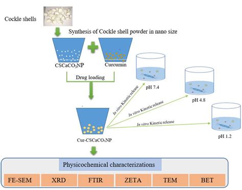 Diagrammatic Representation Of The Synthesis Characterization And In Download Scientific